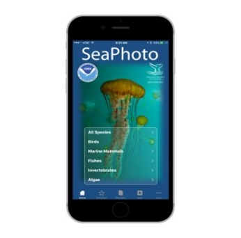 SeaPhoto App